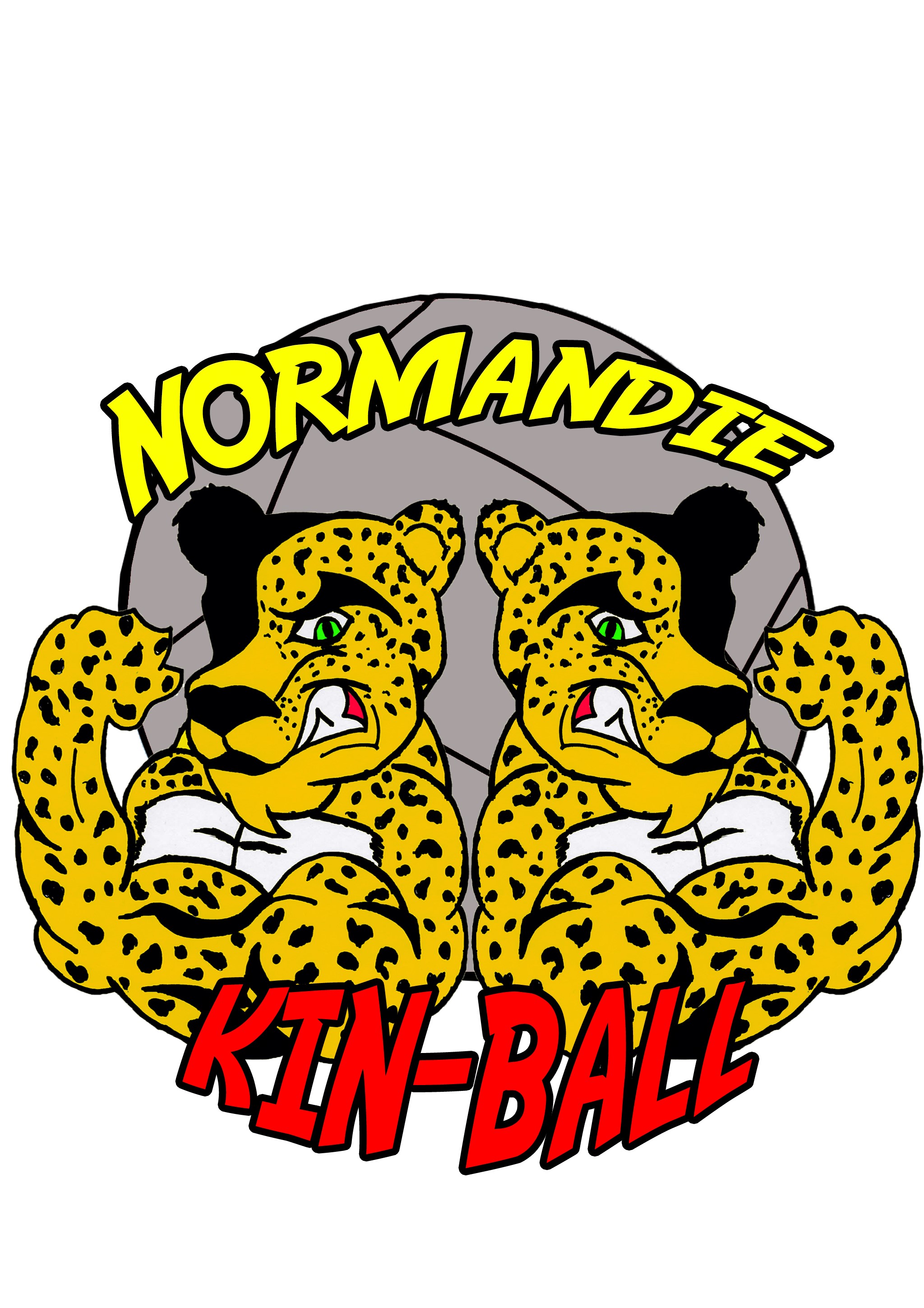 Logo Normandie Kin Ball | FKBF